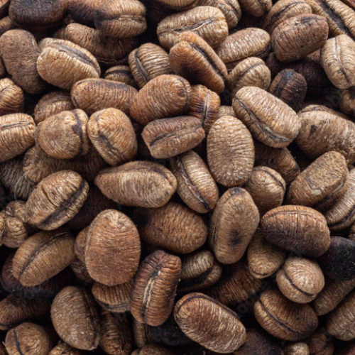 African Nutmeg - amaWonda Natural Spice